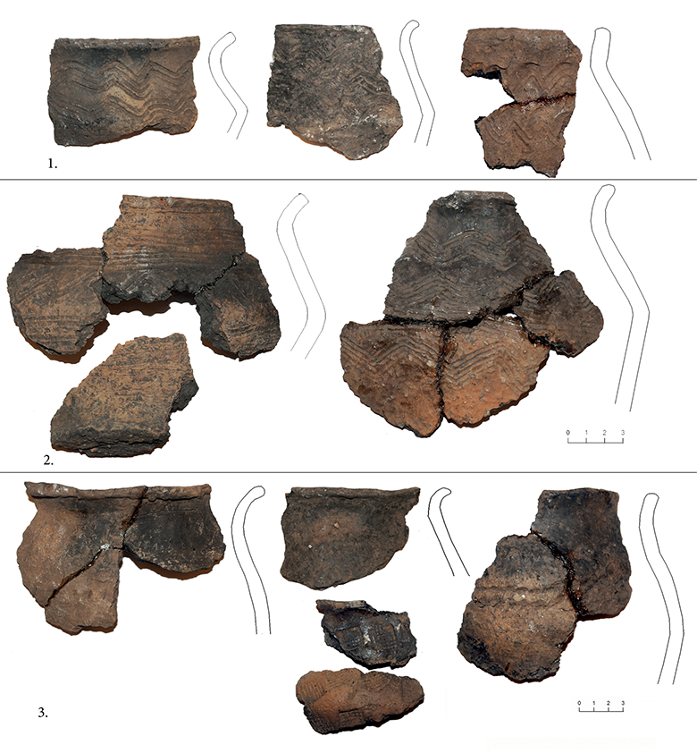Archaeologia Lituana | Archaeologia Lituana